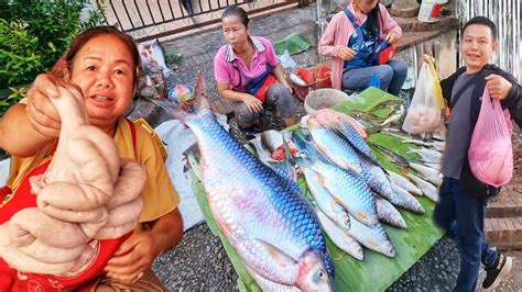 ถึงแล้วจัดเลย ของดีตลาดเช้าหลวงพระบาง ประเทศสปป ลาว Youtube