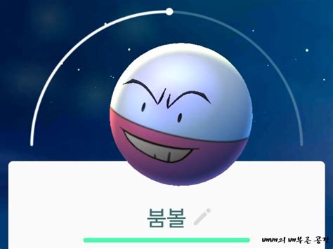 찌리리공 진화 붐볼 배배공 네이버 블로그