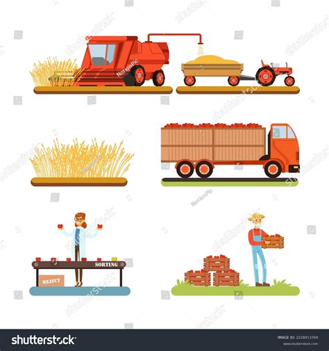 Tomato Sorting Machine Over 14 Royalty Free Licensable Stock Vectors
