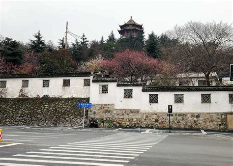 南京梅岗 作者雪丰谷东方品语亭诗社 南京头条