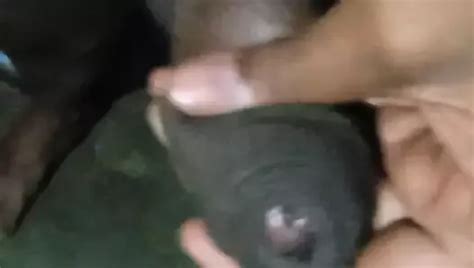 男人的大雞巴 Xhamster