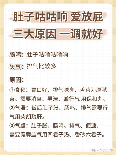 肚子咕咕响爱放屁可能是这三个原因慧善堂 知乎