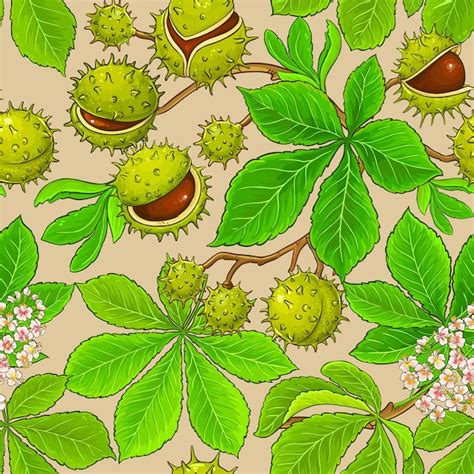 Premium Vector Chestnut Vector Pattern On Color Background
