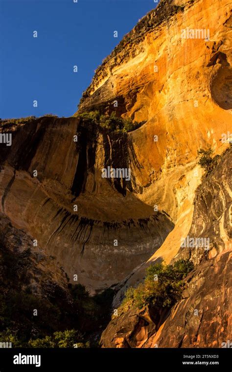 The Steep Impassable Golden And Ochre Colored Sandstone Cliffs In The