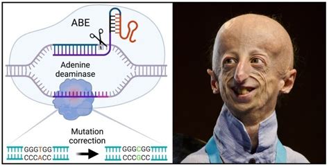 Dna Mutation