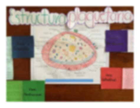 SOLUTION Act 2 2 Estructura Plaquetaria Caracter Sticas Generales Y