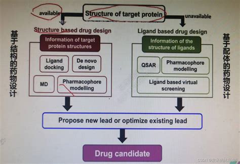 Cadd课程学习（1） 药物设计基础知识 Csdn博客