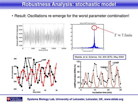 Ppt Overview Of Current Research Declan Bates Powerpoint