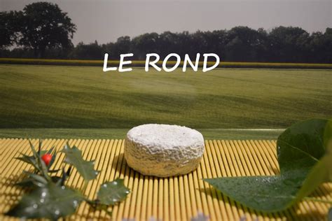 Rappel Consommateur Détail Fromages de chèvre Ronds Fromagerie