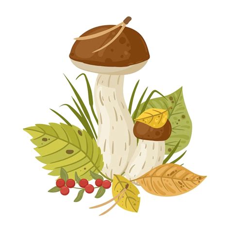 Seta de bosque comestible con hojas dibujos animados otoño boletus seta