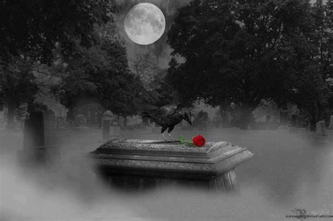 A Boat Floating On Top Of A Lake Covered In Fog With A Red Rose