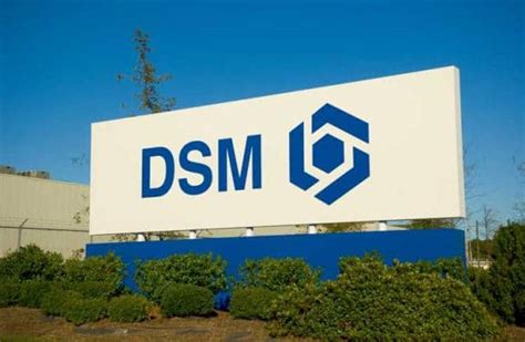 Dyneema® Will Be Used For Multi Purpose Body Armor Program