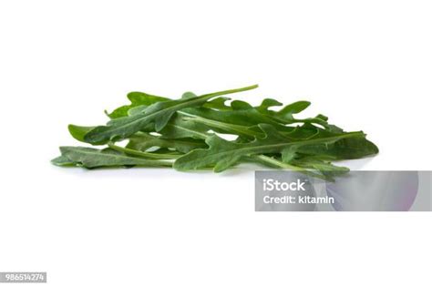 흰색 배경에 고립 된 신선한 Arugula 샐러드입니다 최고의 볼 수 있습니다 신선한 Arugula 텍스트 복사 공간 나뭇잎
