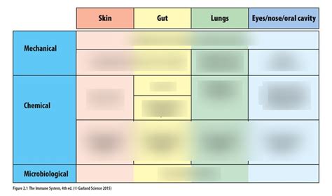 Diagram Of Anatomical Barriers Quizlet
