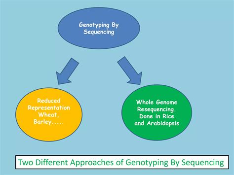 Genotyping By Sequencing Pptx