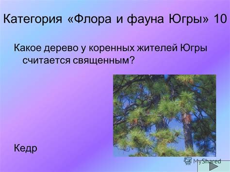 Презентация на тему В мире животных Флора и фауна Югры 4030 Мой край