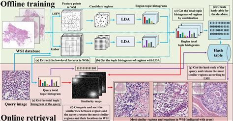 Yushan Zheng Home Page