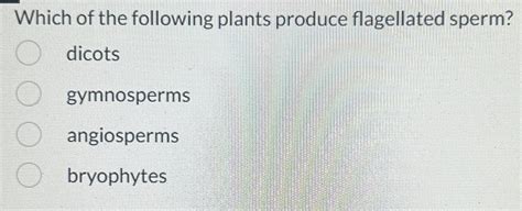 Solved Which Of The Following Plants Produce Flagellated