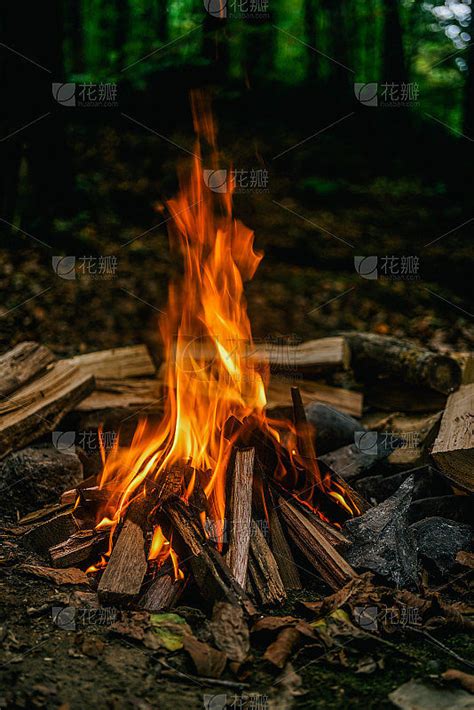 晚上烧木头在山区的自然旅游营地中营火