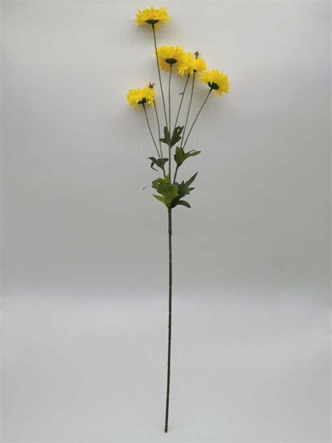 Single Stem Daisy Yellow 2 Stems In A Pack24 Or More £1 Each Stem