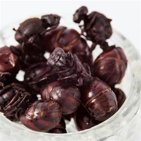 Τα 50 χειρότερα φαγητά στον κόσμο Ένα ελληνικό στη λίστα Jenny Gr