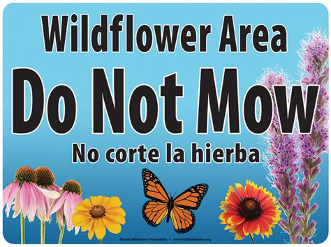 Shop Florida Wildflower Foundation