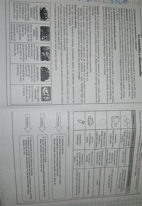 Me pueden ayudar a hacer un organizador gráfico sobre la nutrición y