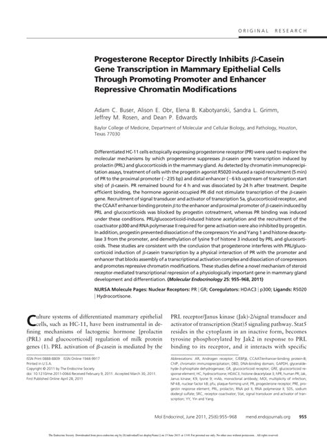 Pdf Progesterone Receptor Directly Inhibits Beta Casein Gene