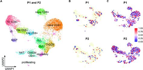 Targeted Sequencing Substantially Increases The Number Of Cells With