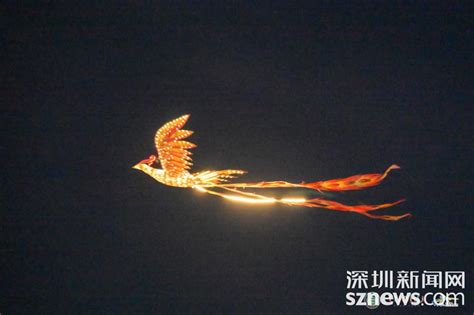 2022粤港澳大湾区青少年无人机科创嘉年华活动圆满闭幕罗湖社区家园网