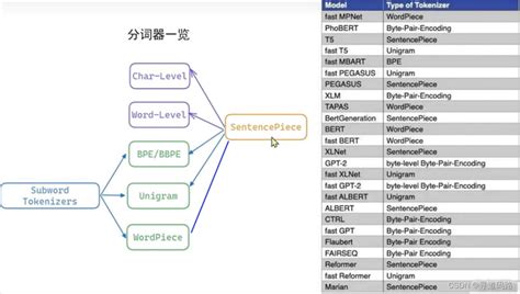 ai大模型探索之路 训练篇5：大语言模型预训练数据准备 词元化 csdn博客