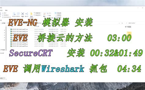 Eve模拟器安装 桥接云 Crt安装设置 Eve调用wireshark 抓包 快餐教学 无废话省流量哔哩哔哩bilibili