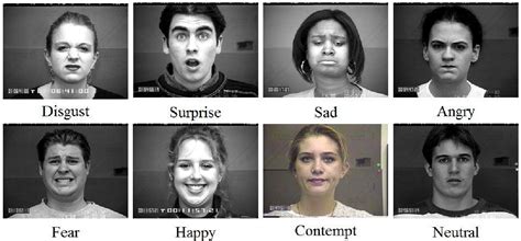 Figure From Facial Expression Recognition Based On Facial Components
