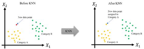 The Knn Technique Concept 27 Download Scientific Diagram