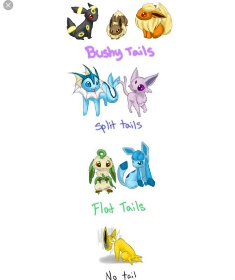 Eevee Evolutions Type Of Tails Pokémon Amino