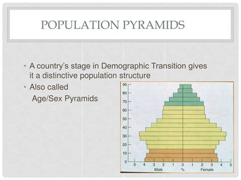 Ppt Population Pyramids Powerpoint Presentation Free Download Id
