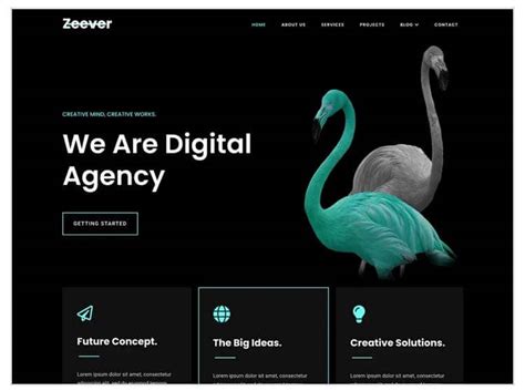 Most Popular And Best Wordpress Block Themes Of Wpshout