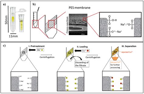 A Filtrate Vessel And Centrifugal Filter Unit With Pes Membrane Download Scientific Diagram
