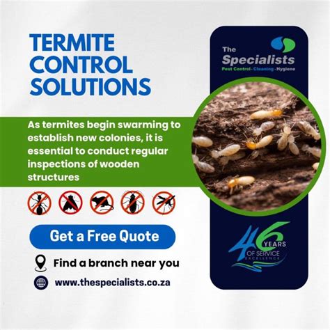 The Specialists Franchise Group Pty Ltd On Linkedin Termites