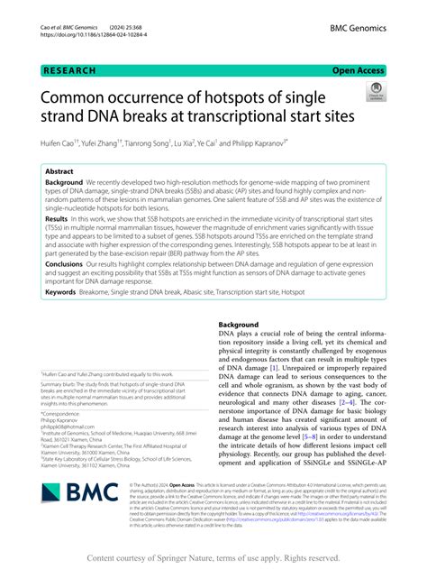 Pdf Common Occurrence Of Hotspots Of Single Strand Dna Breaks At