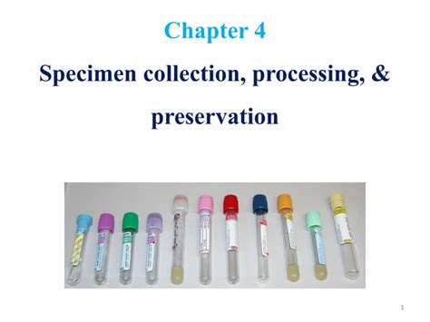 Chapter 4 Specimen Collection Handling And Processing Ppt