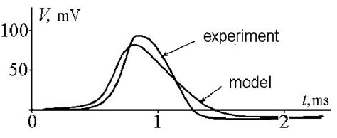Comparison Of The Action Potential Experimentally Observed In The Giant