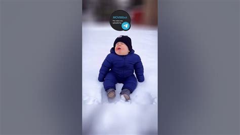 Error Code 502 Youtube