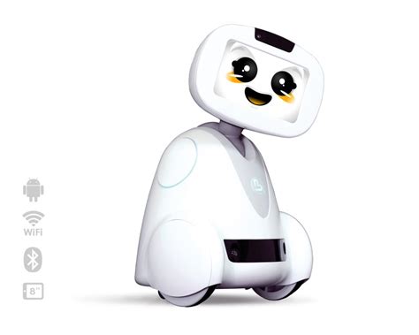 Buddy Le Robot Compagnon En Pré Commande à 646€ Blog Kelrobot