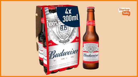 Budweiser Marketing Strategy: Brewed to Connect | Target Audience ...