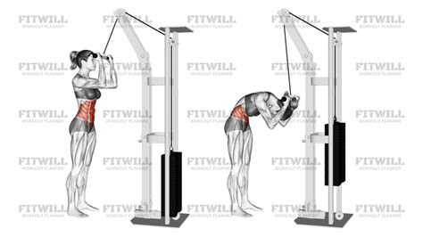 Cable Standing Crunch Exercise Guide Techniques Benefits How To