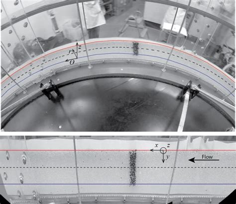 Temperature Controlled Annular Flume Annular Co Udlabs