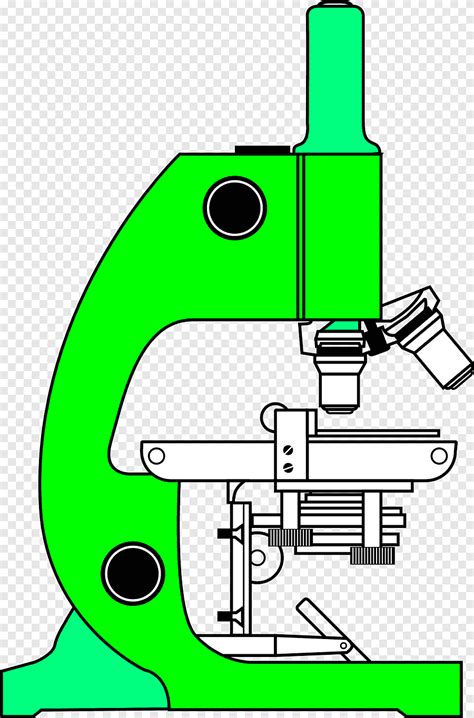 Colored Microscope Drawing