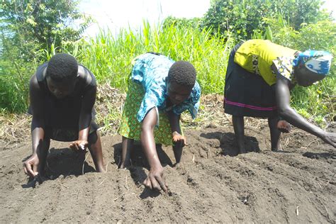 Livelihoods Program Dyere Tek Organisation