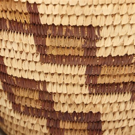 Tohono Oodham Woven Beargrass And Yucca Fiber Handled Basket Mid 20th C Ebth